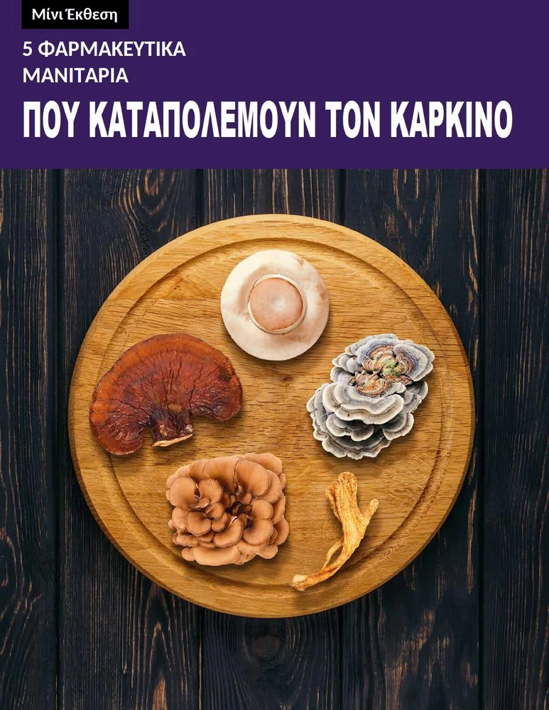 5 Φαρμακευτικά μανιτάρια που καταπολεμούν τον καρκίνο - Cannalib