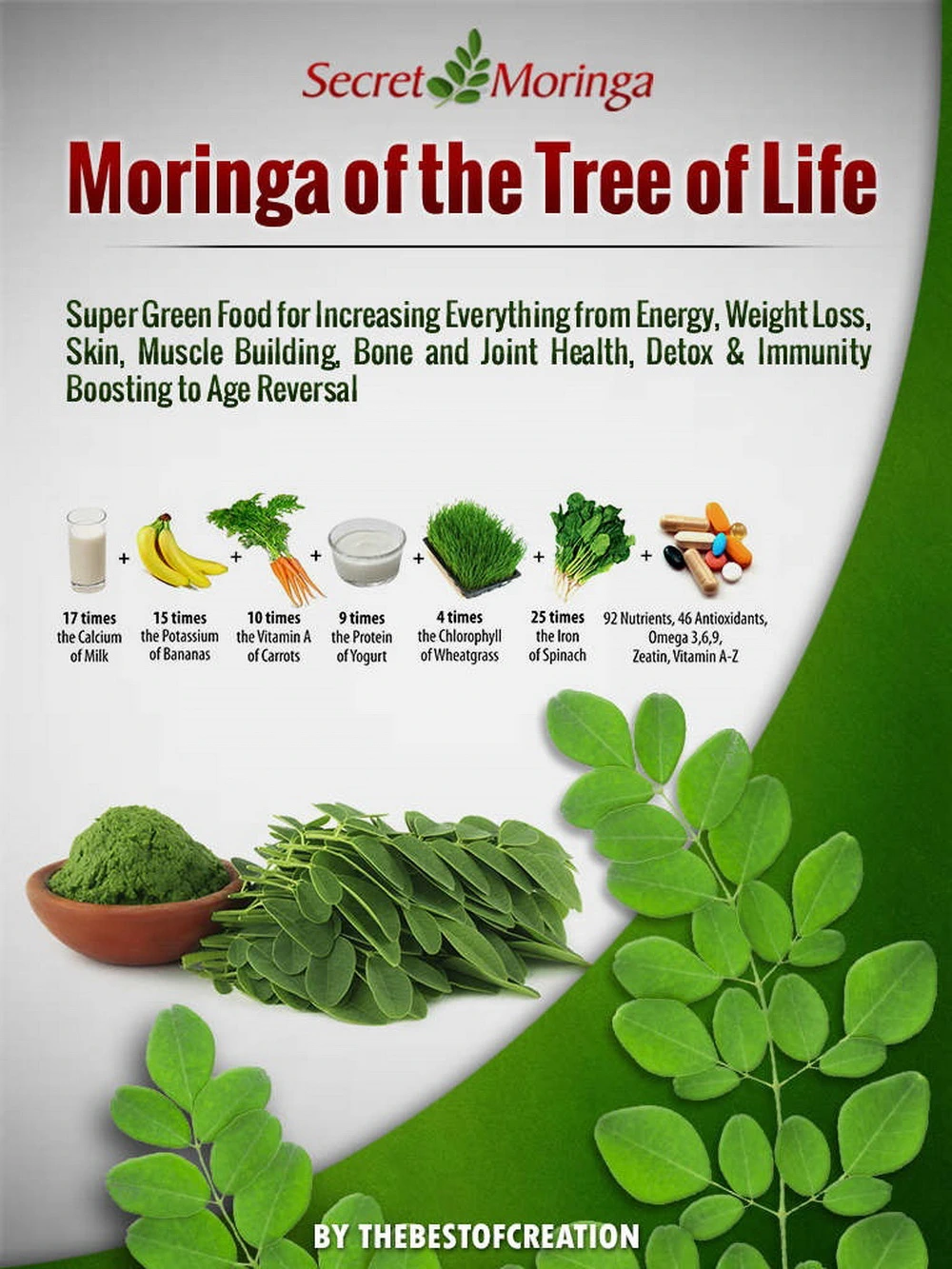 Moringa of the Tree of Life [Μορίνγκα, το δέντρο της ζωής] - Cannalib